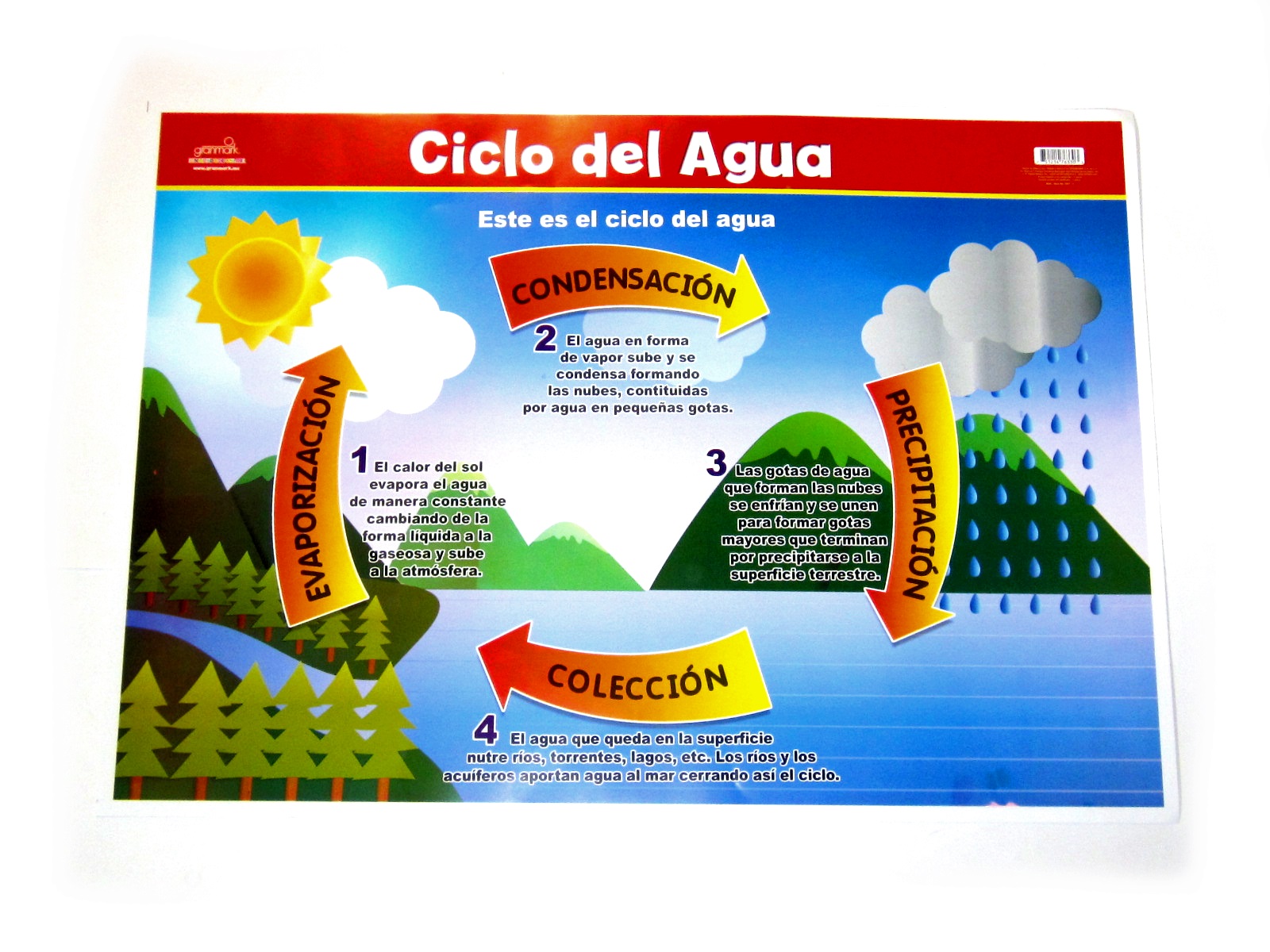 POSTER CICLO DEL AGUA GRANMARK - Schoolboy